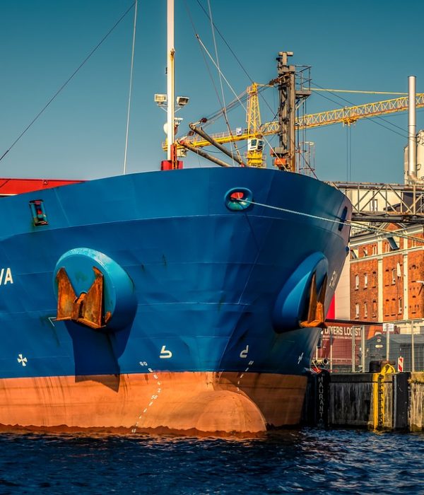 Conti 154. Schifffahrts-GmbH & Co. Bulker KG MS „Conti Selenit ...